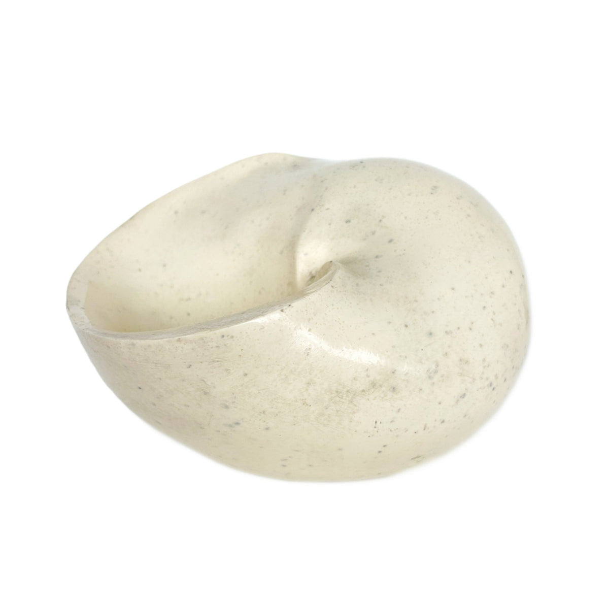Modern Nautilus bowl | kathrynchaplowcollect