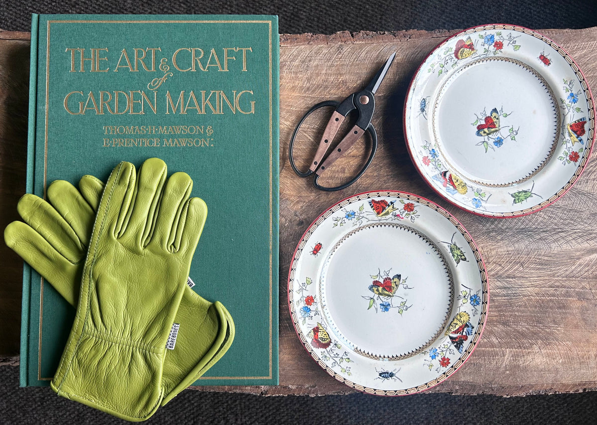 Antique Insect Plate Pair | kathrynchaplowcollect